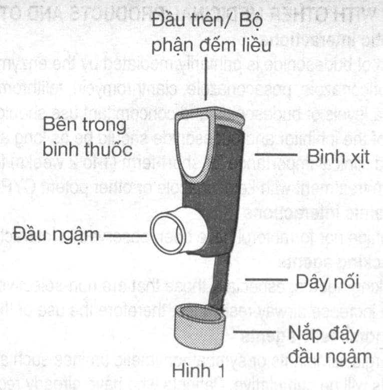 Symbicort Rapihaler 160/4.5mcg điều trị hen suyễn bình 120 liều xịt ...