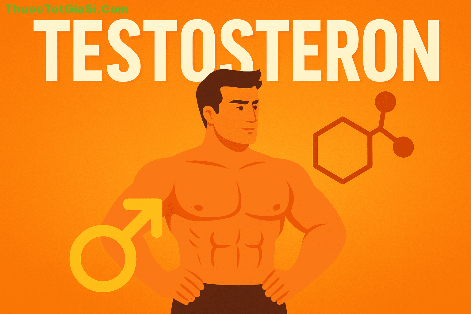 Testosteron là gì? Công dụng – Dấu hiệu thiếu – Cách tăng tự nhiên ...